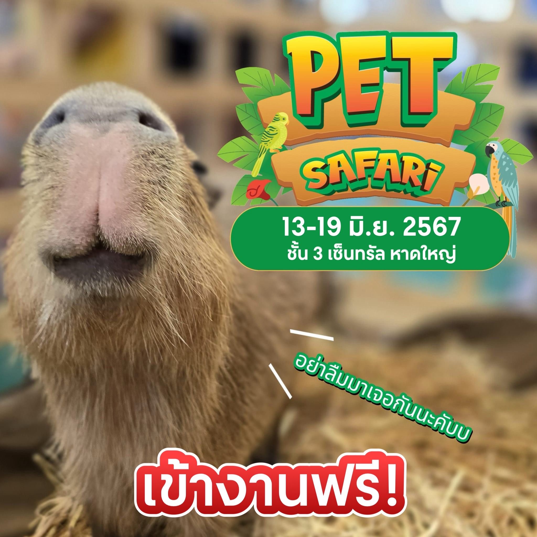 Pet Safari