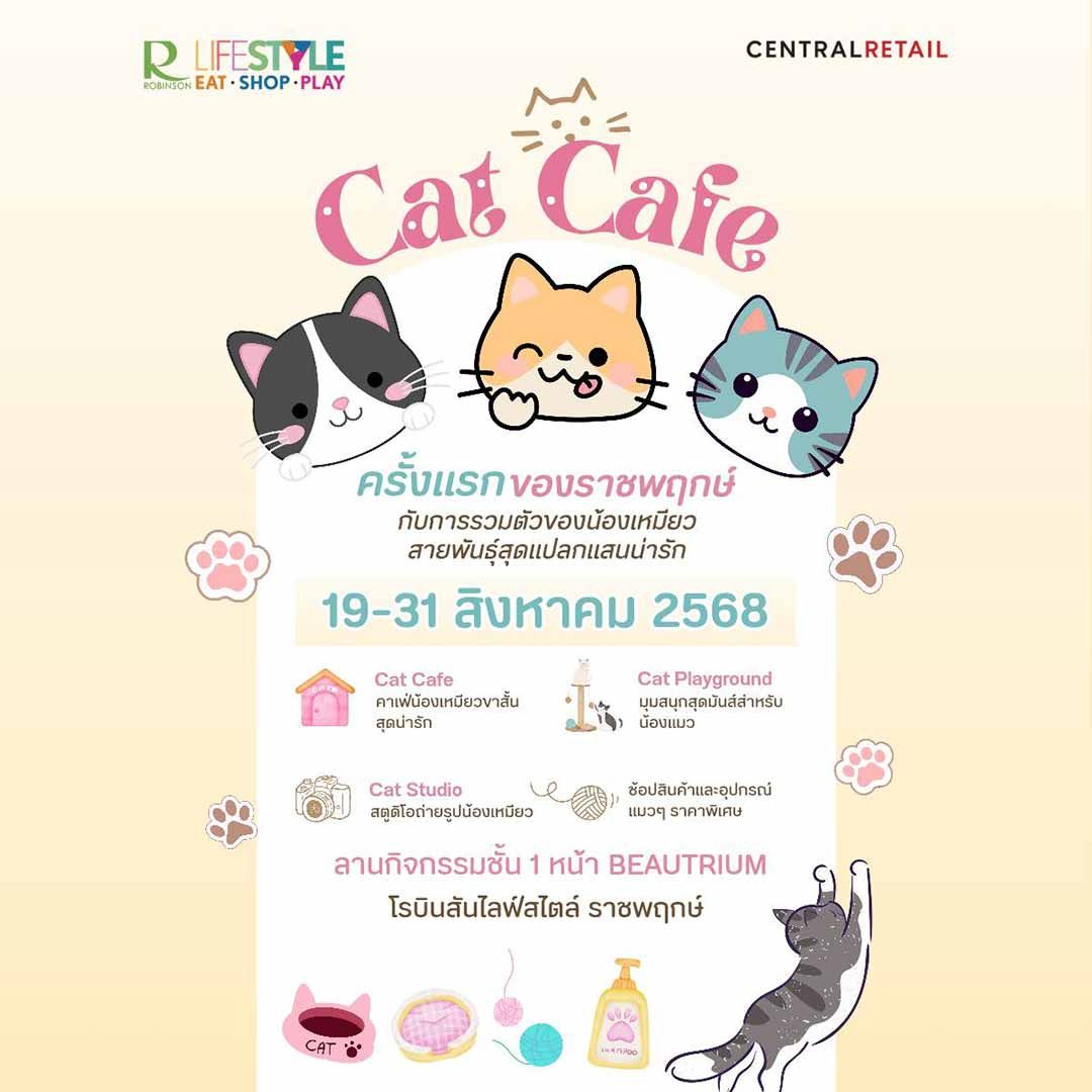 Cat Cafe