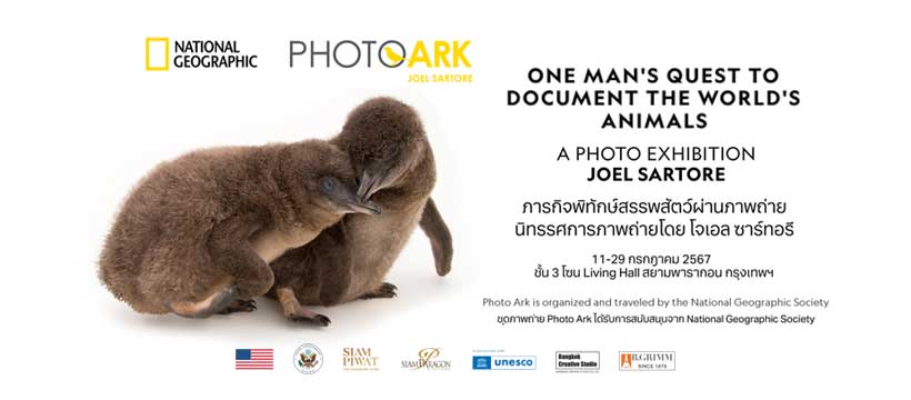 นิทรรศการ National Geographic Photo Ark “ภารกิจพิทักษ์สรรพสัตว์ผ่าน ...