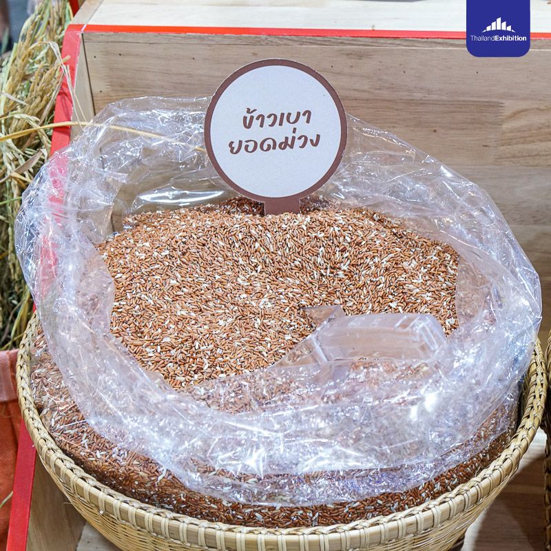 Thailand Rice Fest 2024